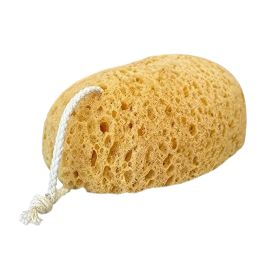 Eponge de Mer à Teinter, Achat Eponge Végétale - Mon-Droguiste.com