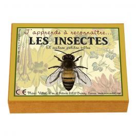 Jeu J'Apprends à Reconnaître les Insectes - Mon-Droguiste.com