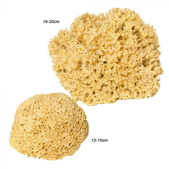 Eponge Naturelle Bürstenhaus Redecker, Achat Eponge de Bain - Mon ...